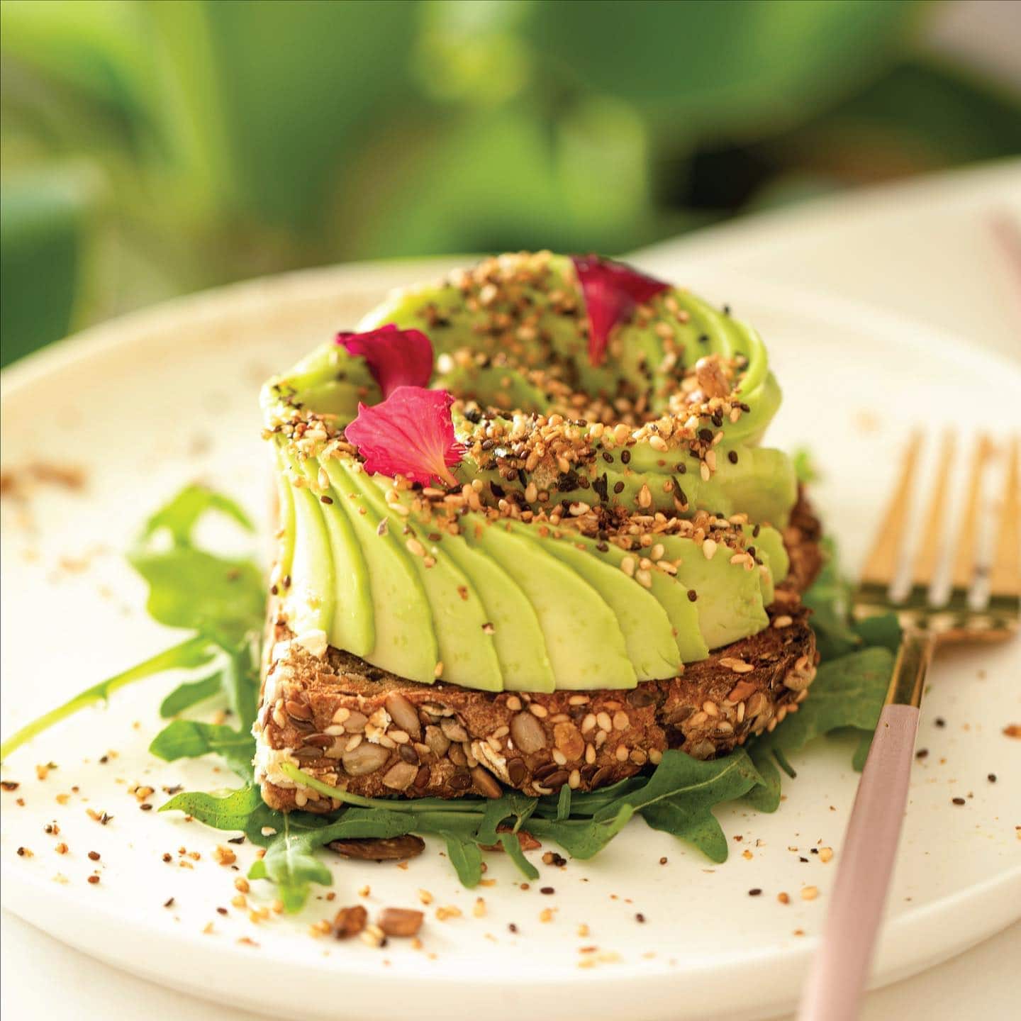 Avokado Cafe, Qutab Institutional Area, New Delhi | Zomato