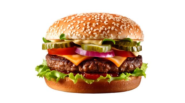 Bite Me Burgers & Wraps, Lalbagh, Mangalore | Zomato