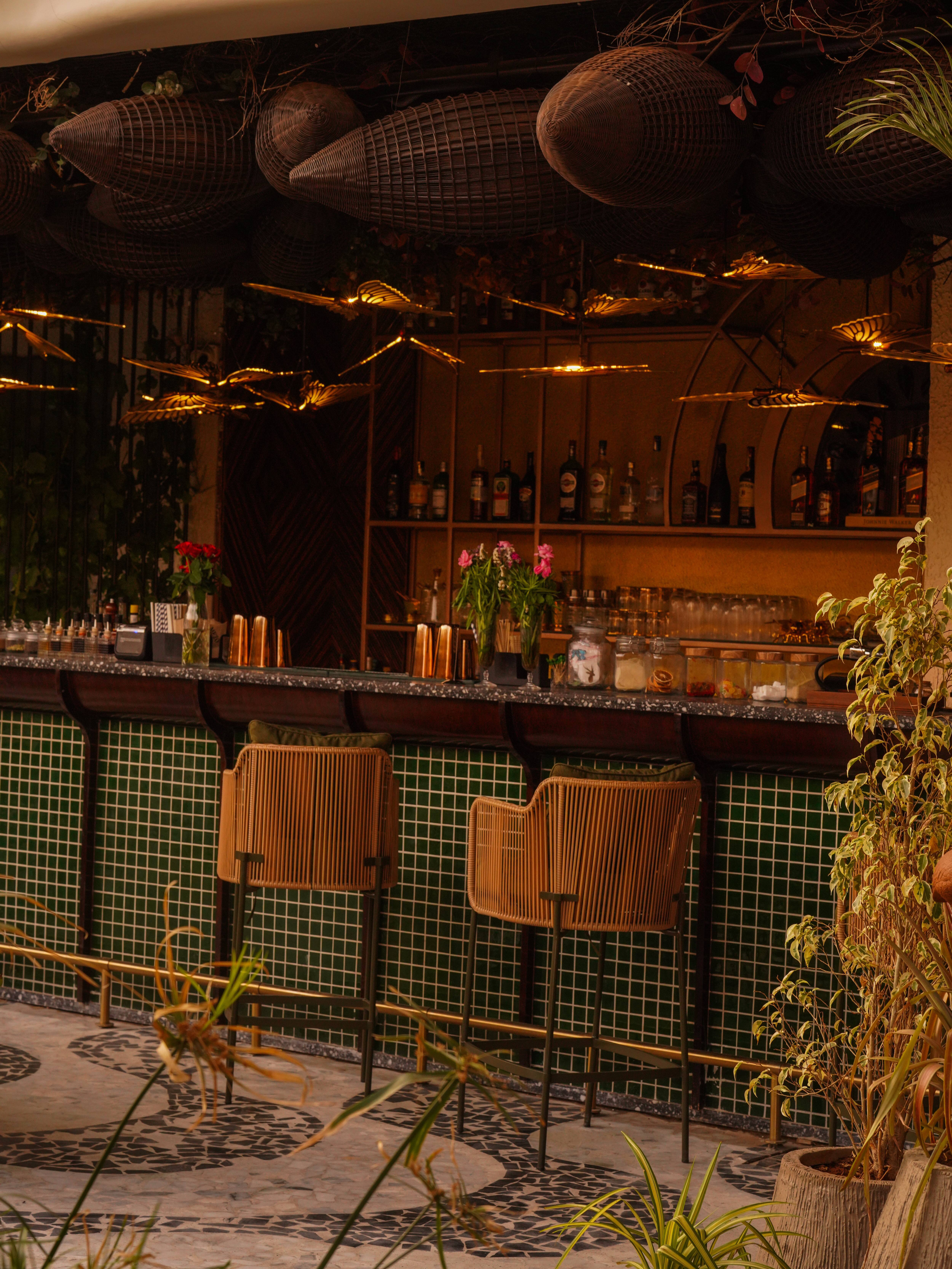 Mezo, Tonk Road, Jaipur | Zomato