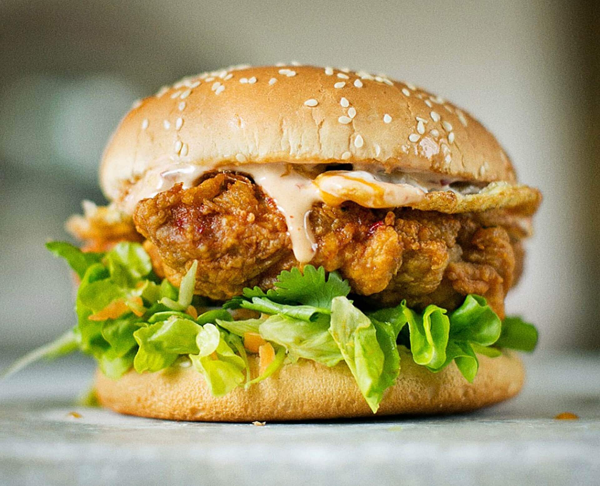 Hungry Burger, Peer Gate Area, Bhopal | Zomato