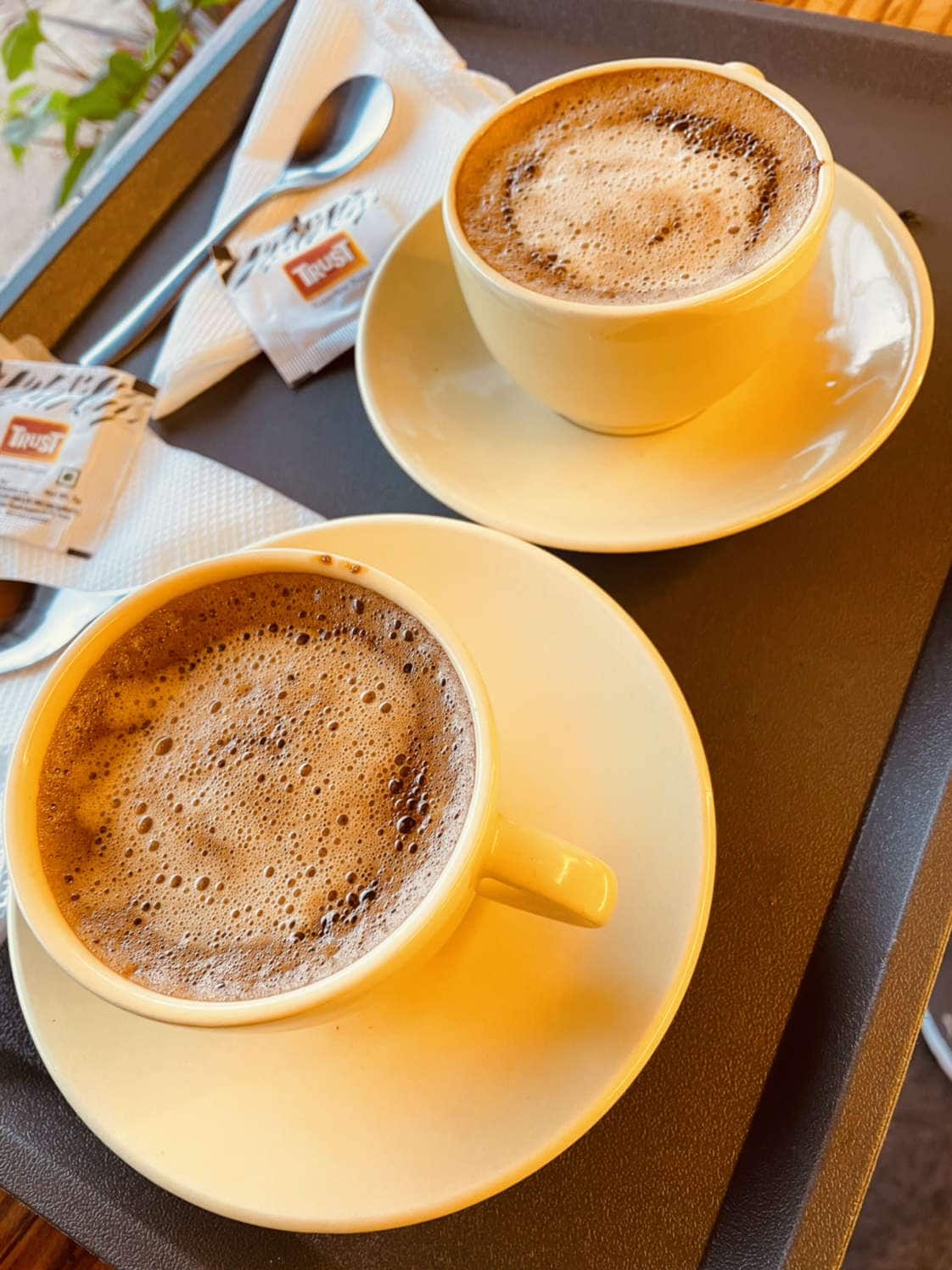 Gossip Coffee Shack, Madhapur, Hyderabad | Zomato