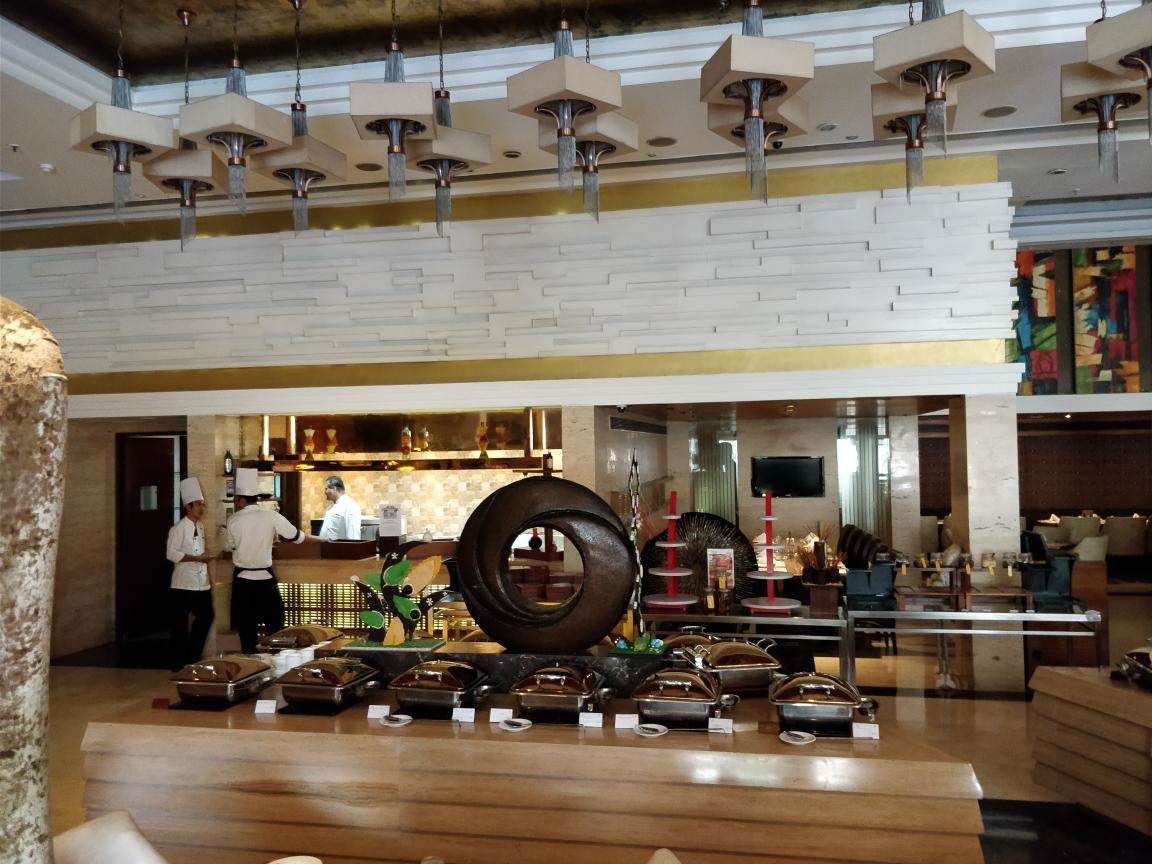 Malt N Brew, Sector 62, Noida | Zomato