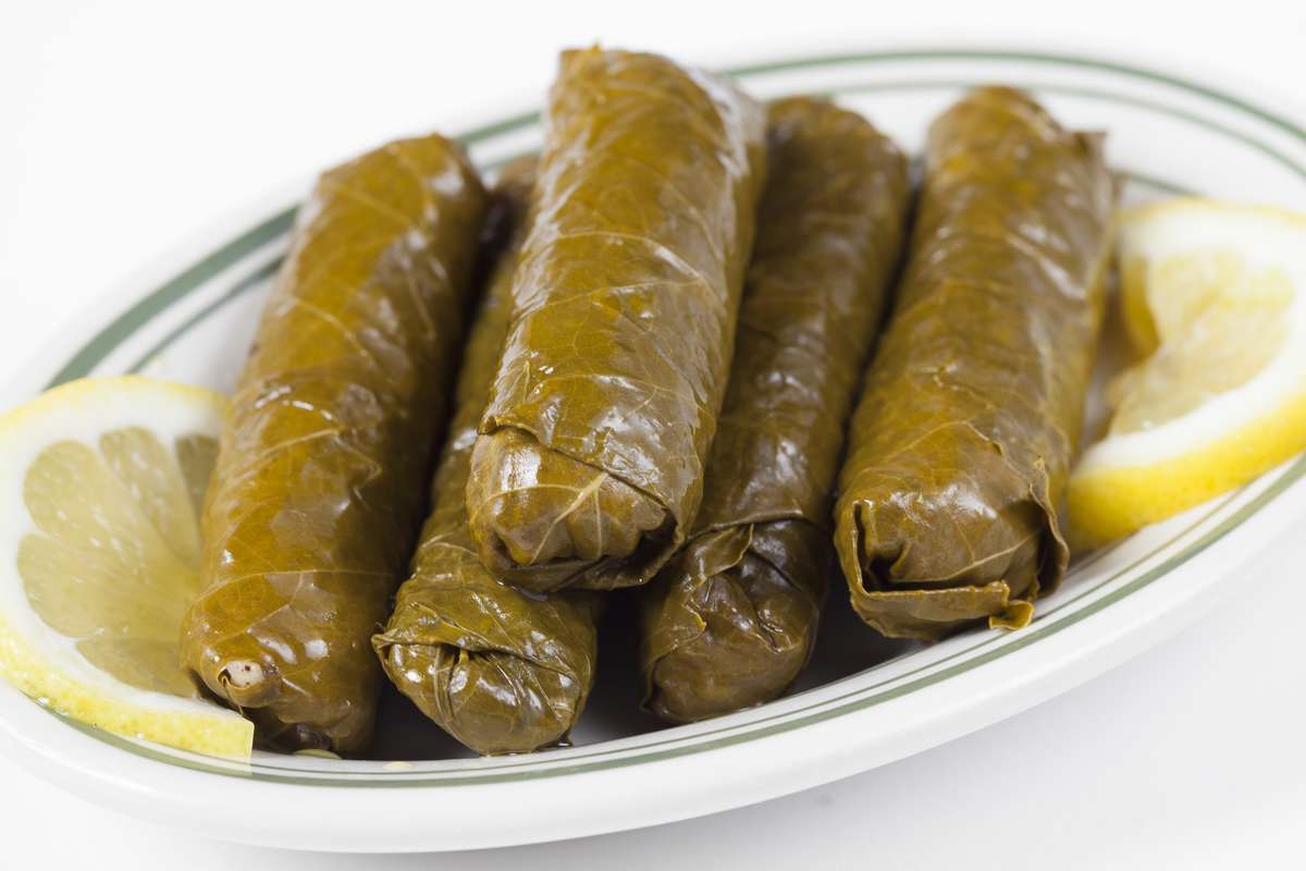 Mr. Kebap, Fountain Valley, Orange County | Zomato Mr. Kebap, Fountain Valley, Orange County | Zomato