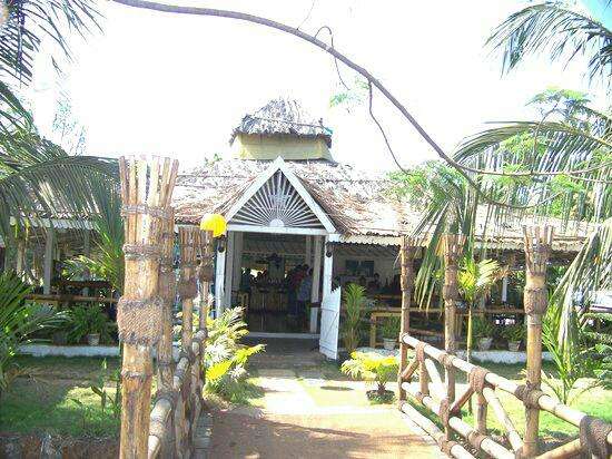 Fat Fish Photos, Pictures of Fat Fish, Baga, Goa - Zomato