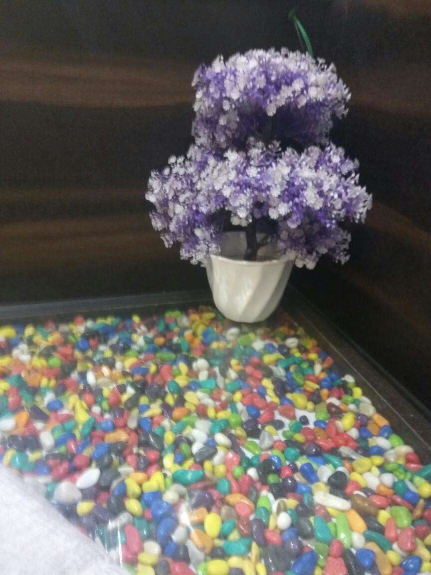 The Manish Eating Point, Gomti Nagar, Lucknow - Zomato