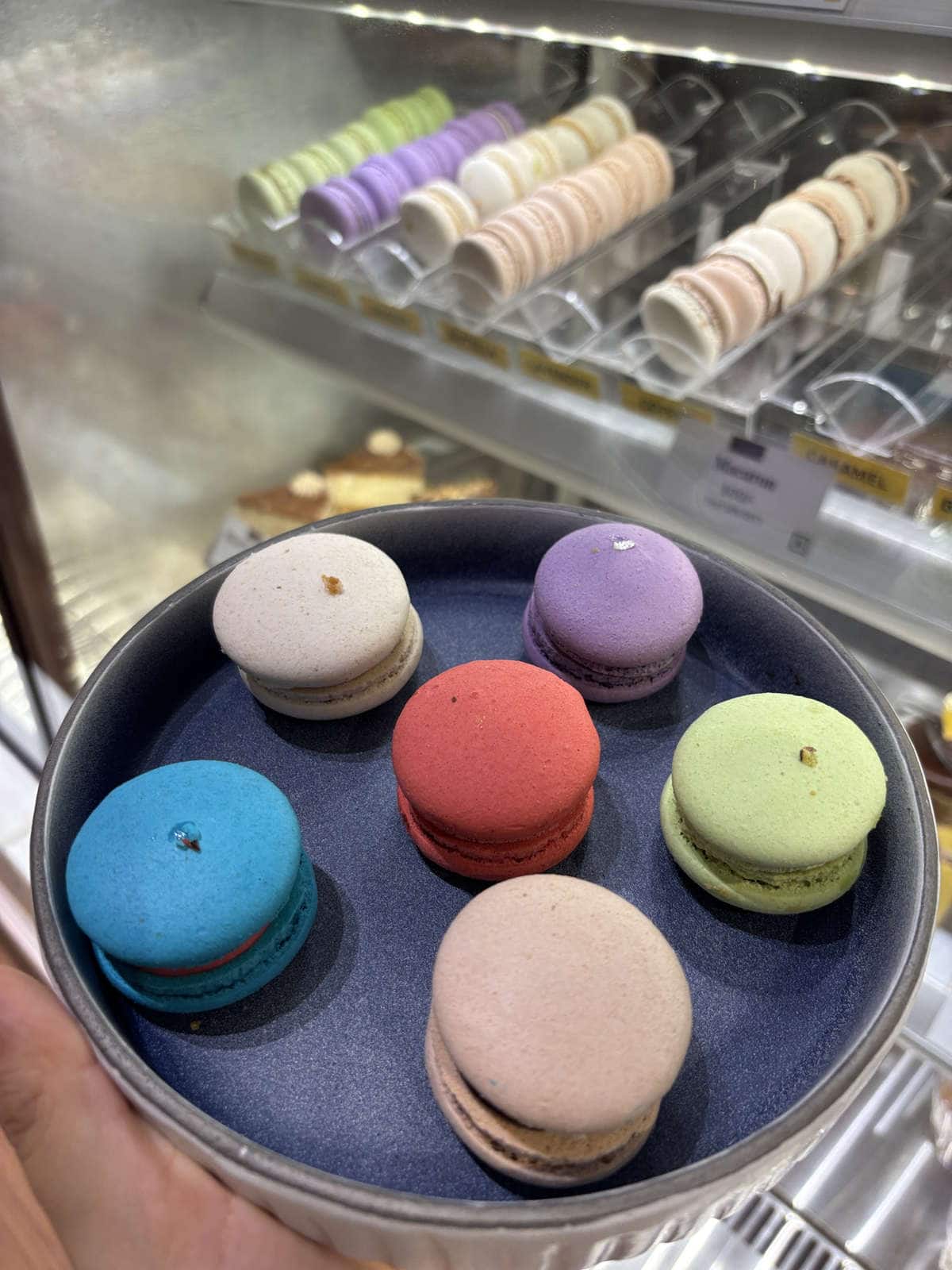 Mahabi Patisserie Gelato, Pali Hill, Bandra West order online - Zomato