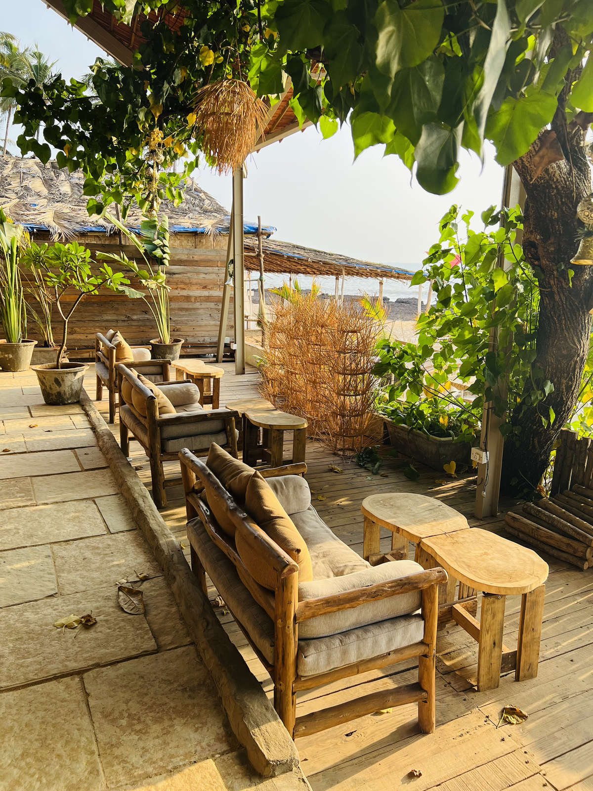 Makani On The Beach, Anjuna, Goa | Zomato
