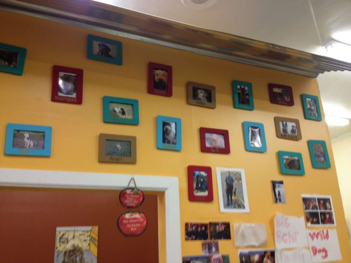 Zack's Sandwich Shack and Blue Plate Specials Menu