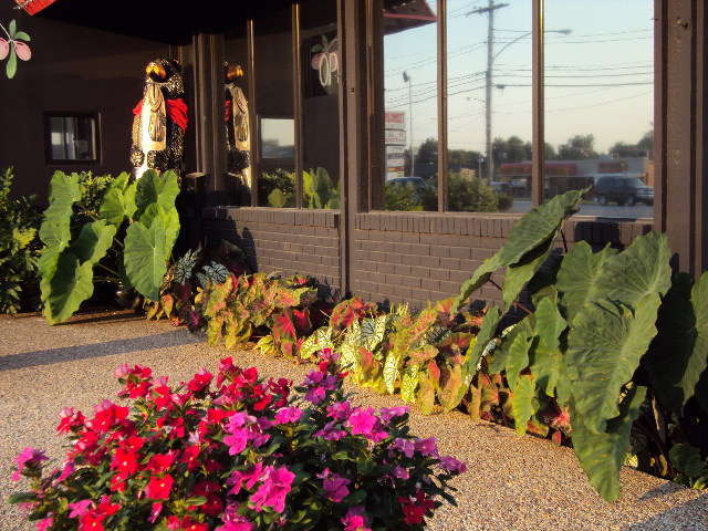 Wayo Japan Sushi Bar, Springfield, Springfield - Urbanspoon/Zomato