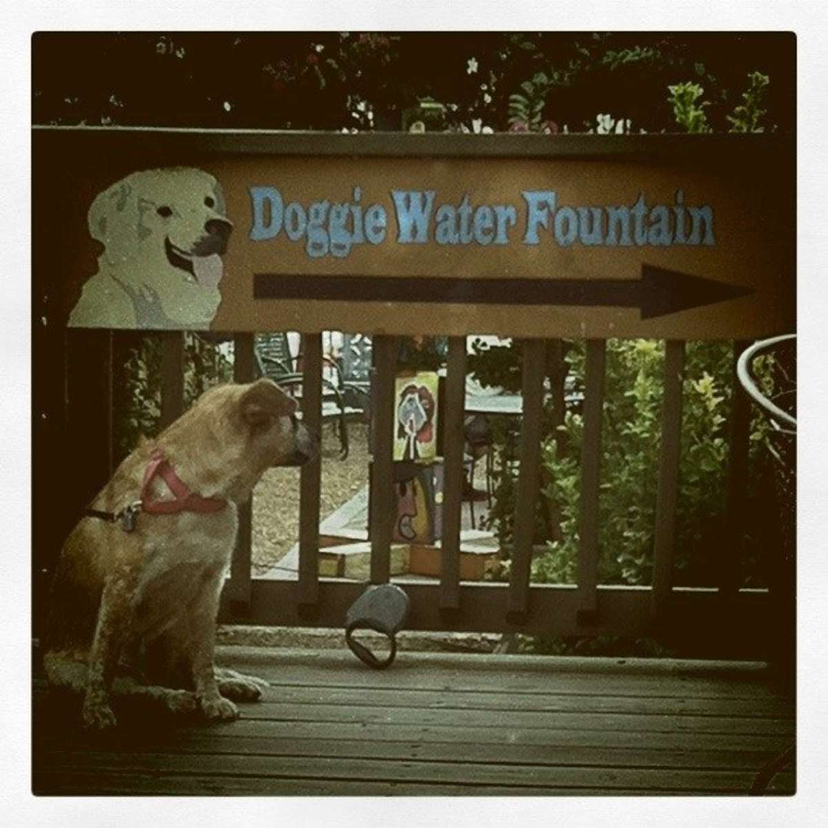 Sip Cafe, Madison, Nashville | Zomato