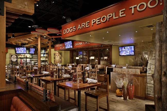 Lazy Dog Restaurant & Bar, Temecula, Temecula | Zomato