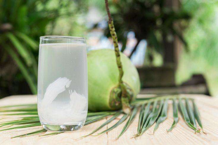 Palani Andavar Tender Coconut, Ondipudur, Coimbatore | Zomato