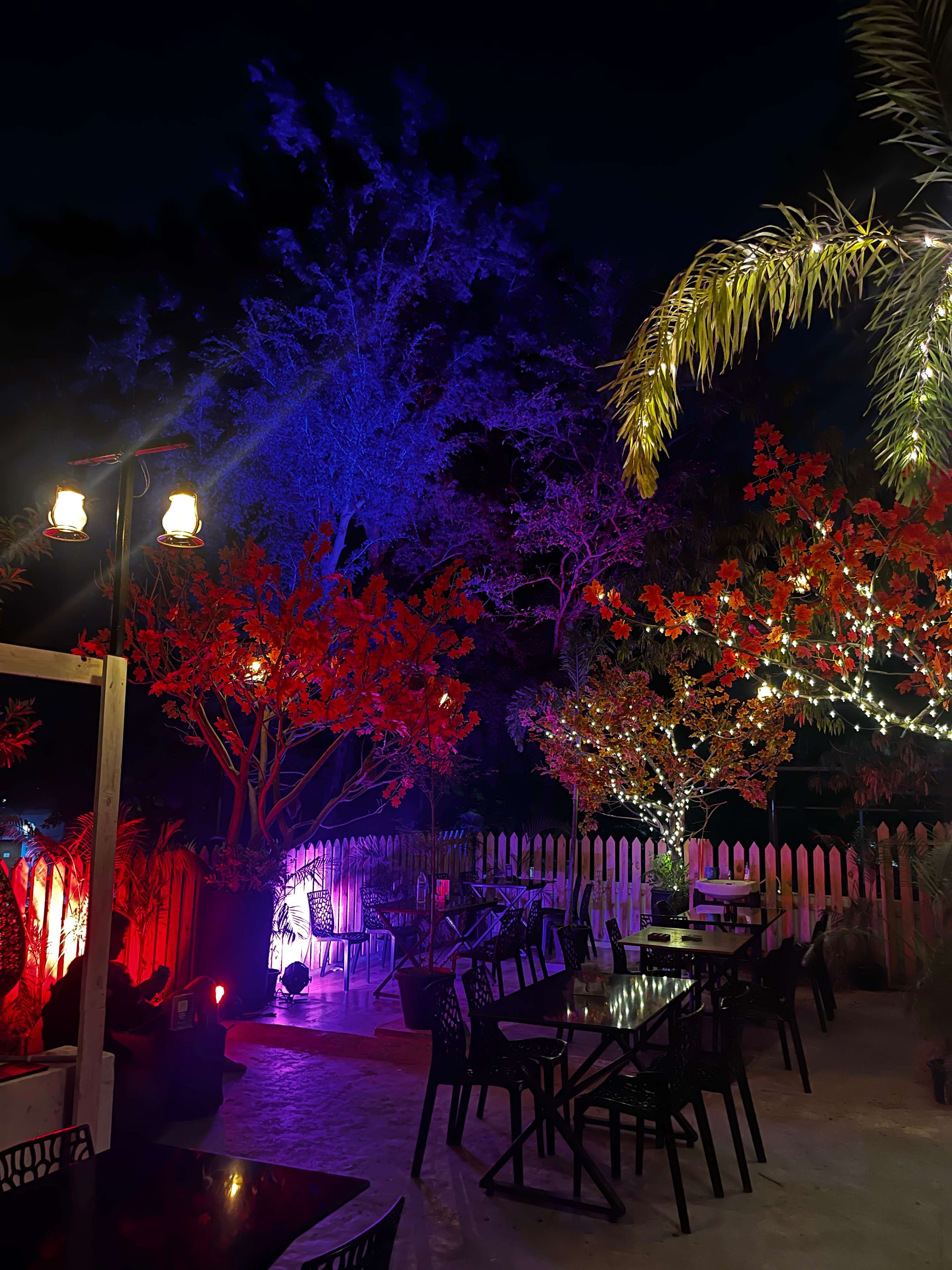 Treow Cafe & Kitchen, Gachibowli, Hyderabad | Zomato