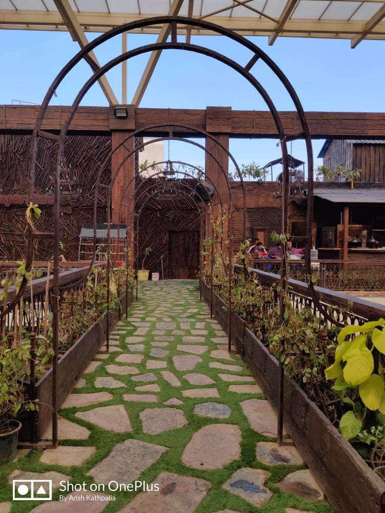 Imperfecto Patio, Sector 50, Gurgaon - Zomato