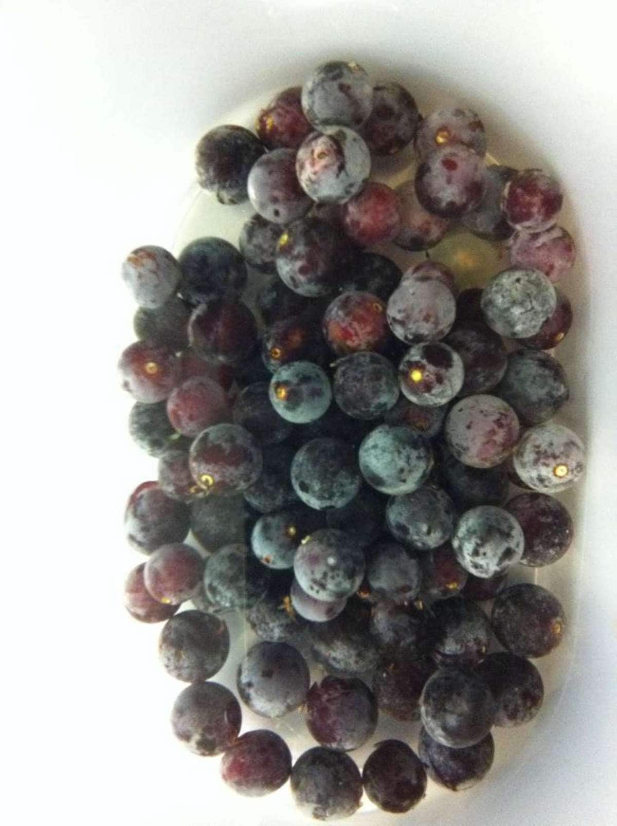 Crush Winebar, Sandusky, Sandusky/Huron | Zomato