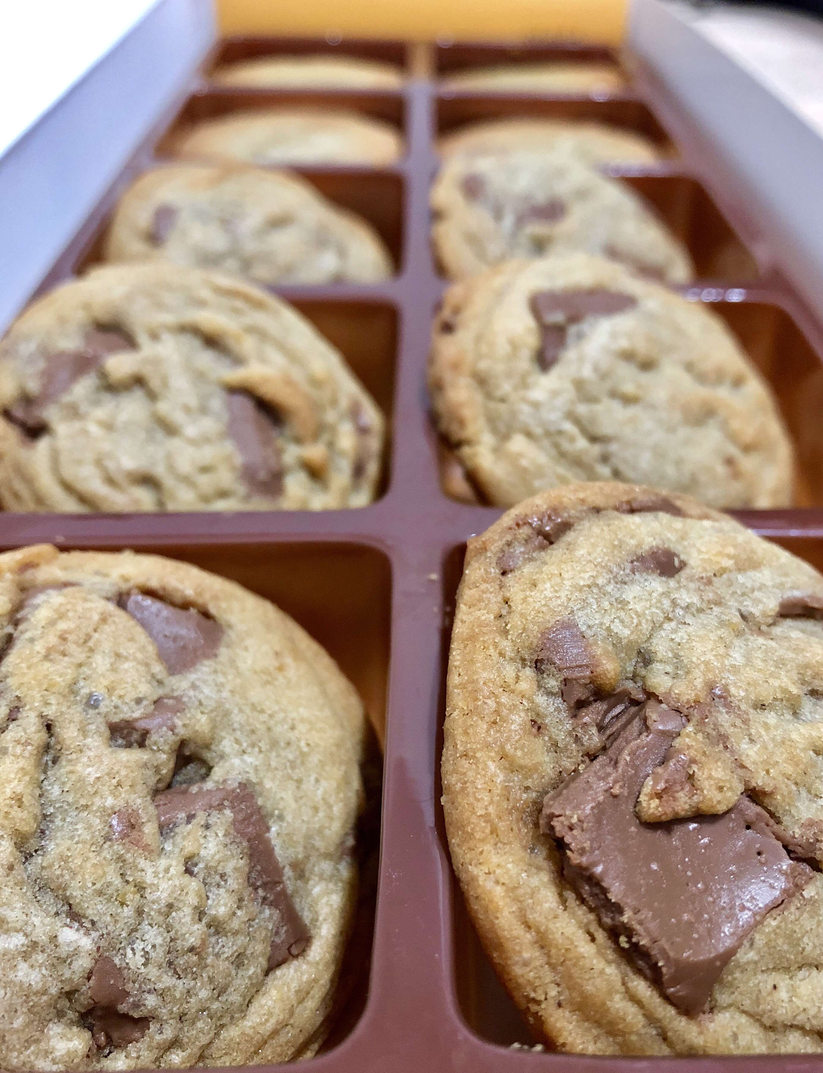 Camel Cookies Photos, Pictures of Camel Cookies, Al Khalidiya, Abu ...