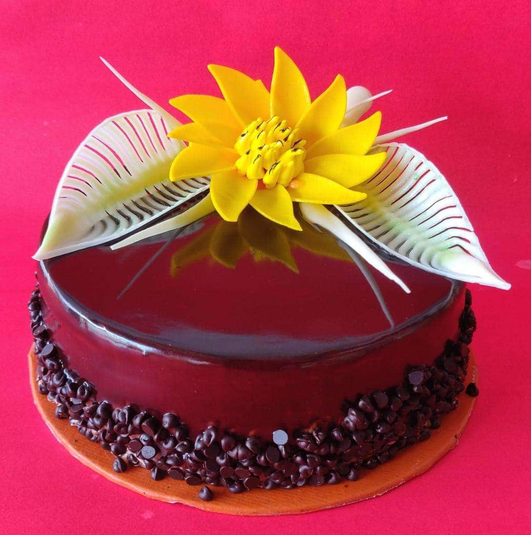 Cake House, S R Nagar, Hyderabad | Zomato