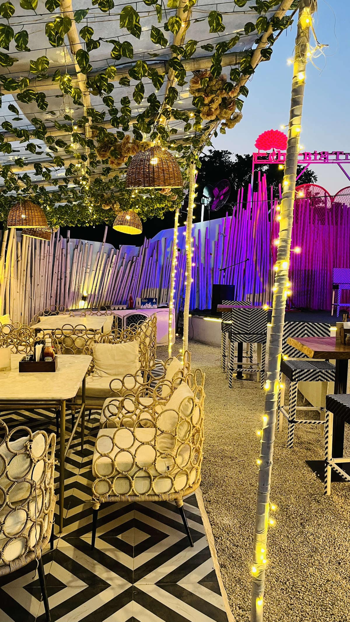 The Big Tree Cafe, Gwal Pahari, Gurgaon | Zomato