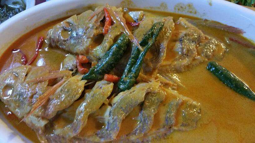 Raja Kuring Foto, Gambar untuk Raja Kuring, Penjaringan, Jakarta ...