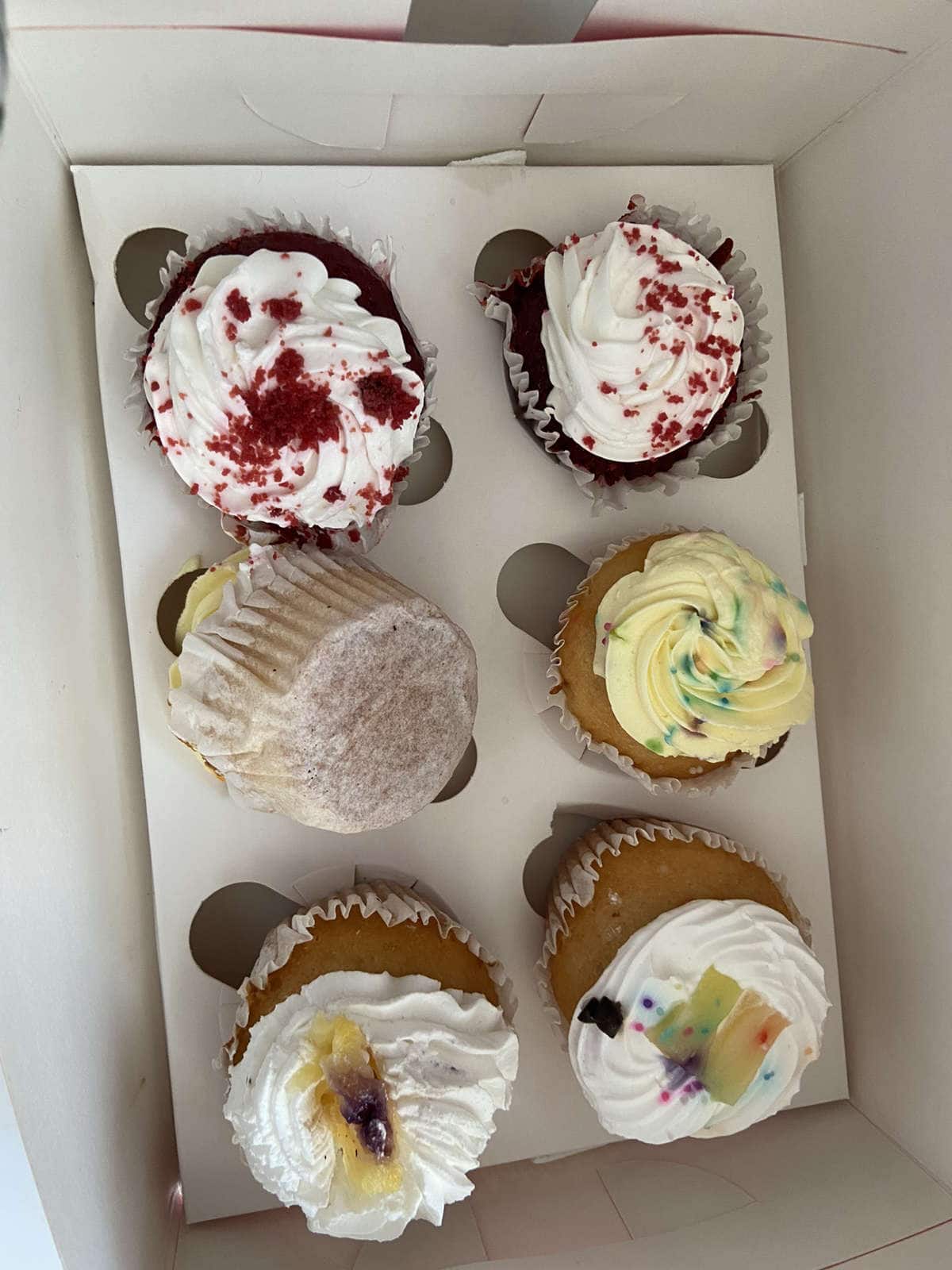 Bakingo, Sector 71, Mohali | Zomato