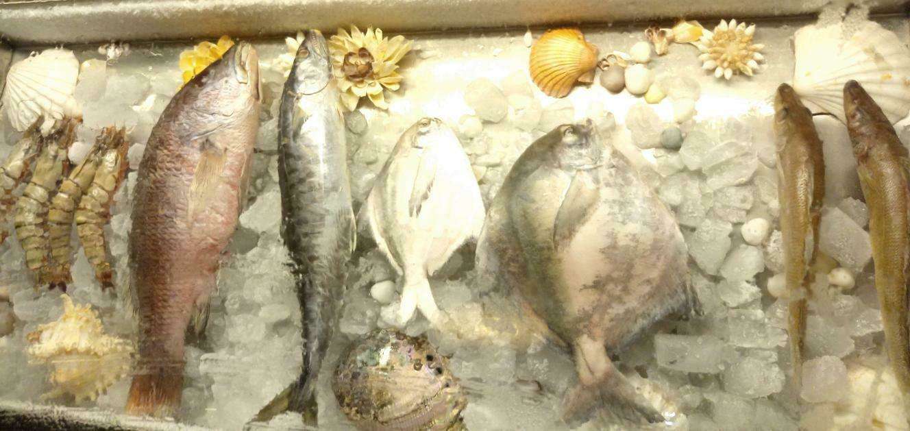 Fat Fish, Baga, Goa - Zomato