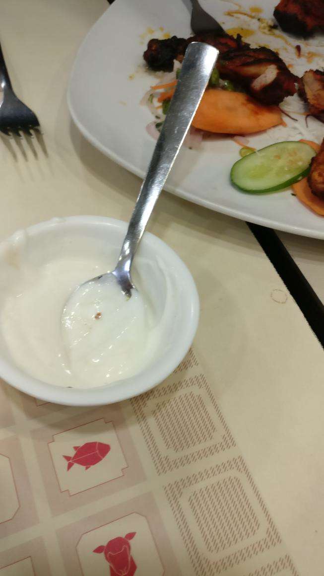 Zaitoon, Anna Nagar East, Chennai - Restaurant - Zomato