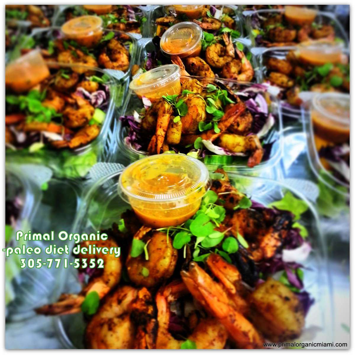 Primal Organic, South Miami, Miami