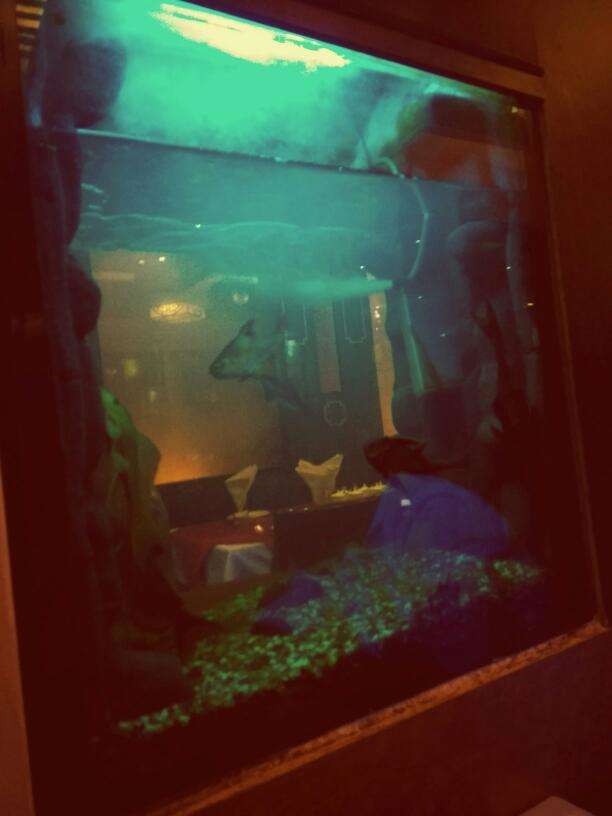 Gypsy Chinese Photos, Pictures of Gypsy Chinese, Dadar Shivaji Park ...