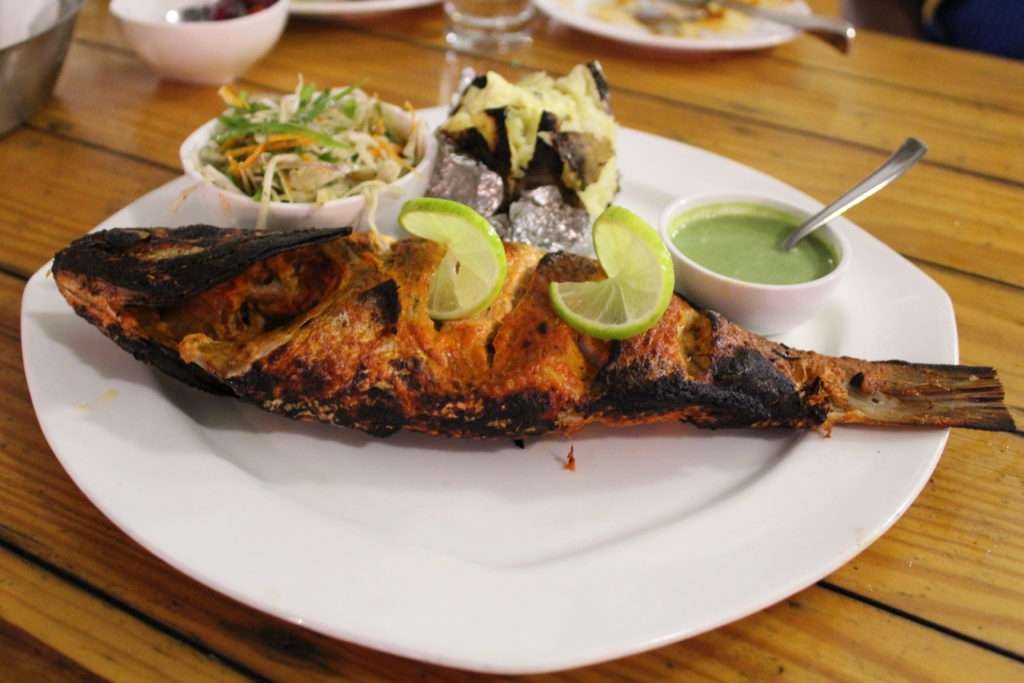 Cohiba Photos, Pictures of Cohiba, Candolim, Goa - Zomato