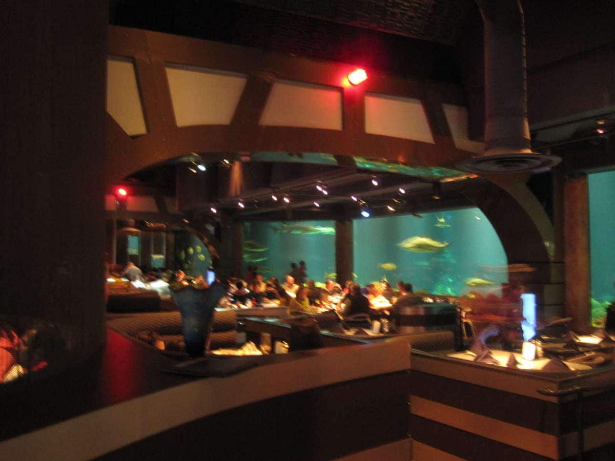 Sharks Underwater Grill & Bar, I-Drive/Universal, Orlando | Zomato
