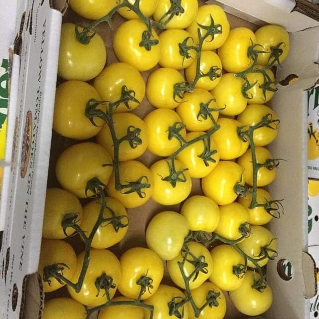 Little Louie's Italian Kitchen, Sweetwater/Tamiami/Westchester, Miami