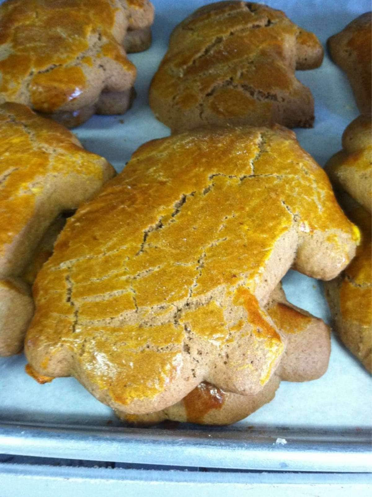 Janet B. Gaines's photo for Chico's Bakery