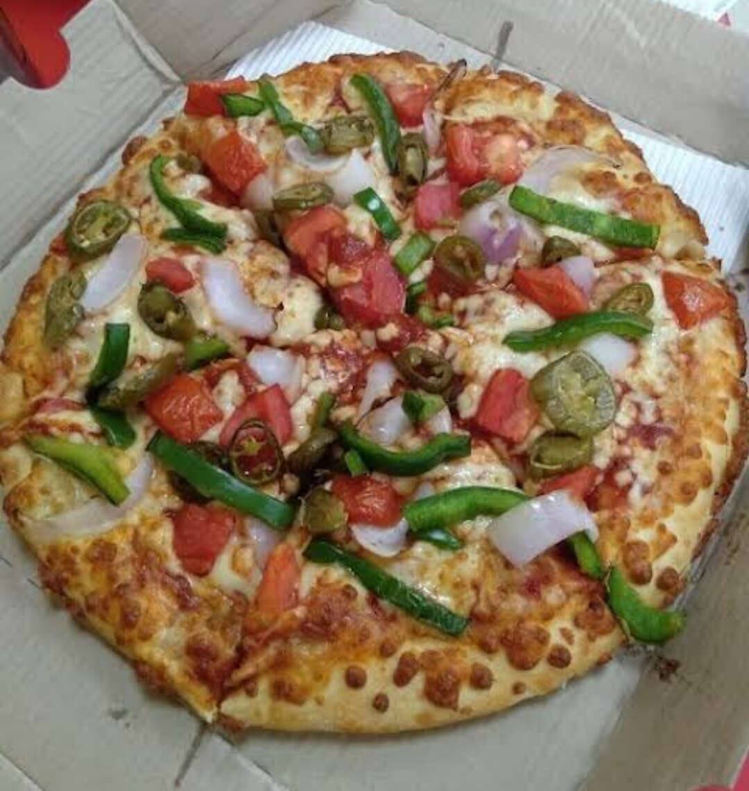 Domi'z Pizza, Phase 11, Mohali | Zomato
