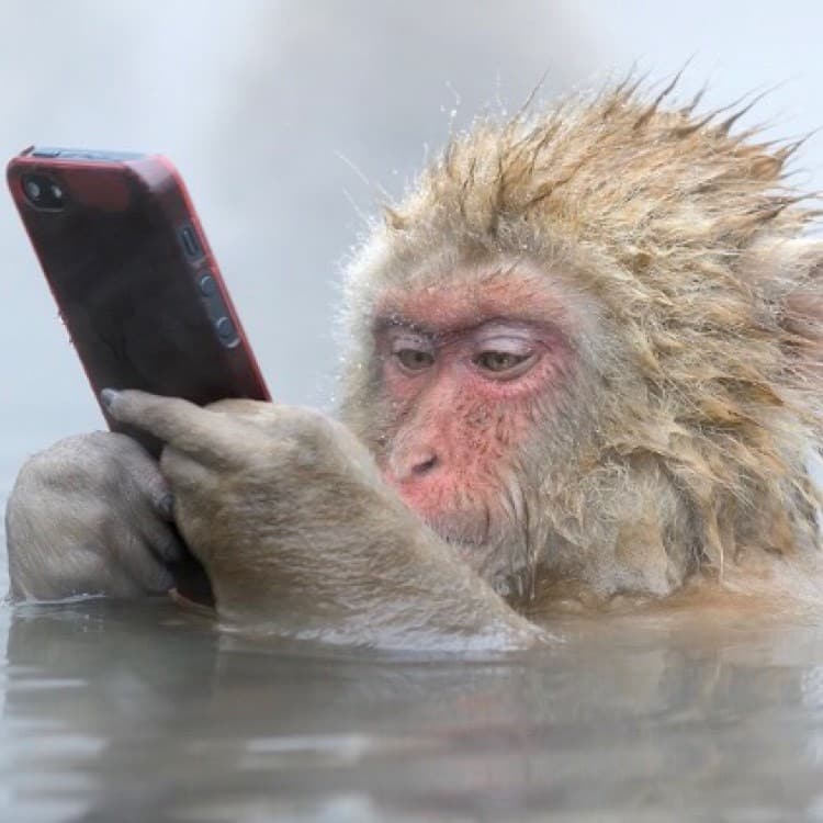 Re Store, Leederville - Restaurant menu, prices and reviews