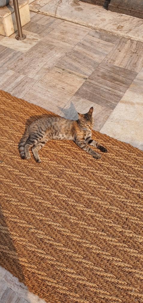 Striker Privè, Gurugram - Restaurant menu, prices and reviews