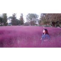 El Chanto pub & bar, Makati - Restaurant menu and reviews