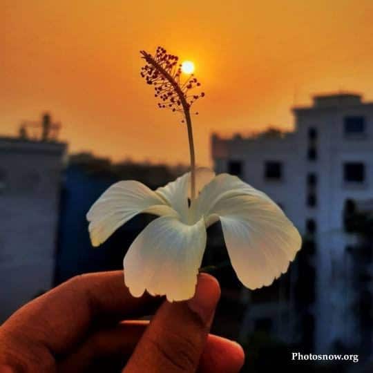 Sashay Taproom & Kitchen, Bengaluru - Restaurant menu, prices and reviews