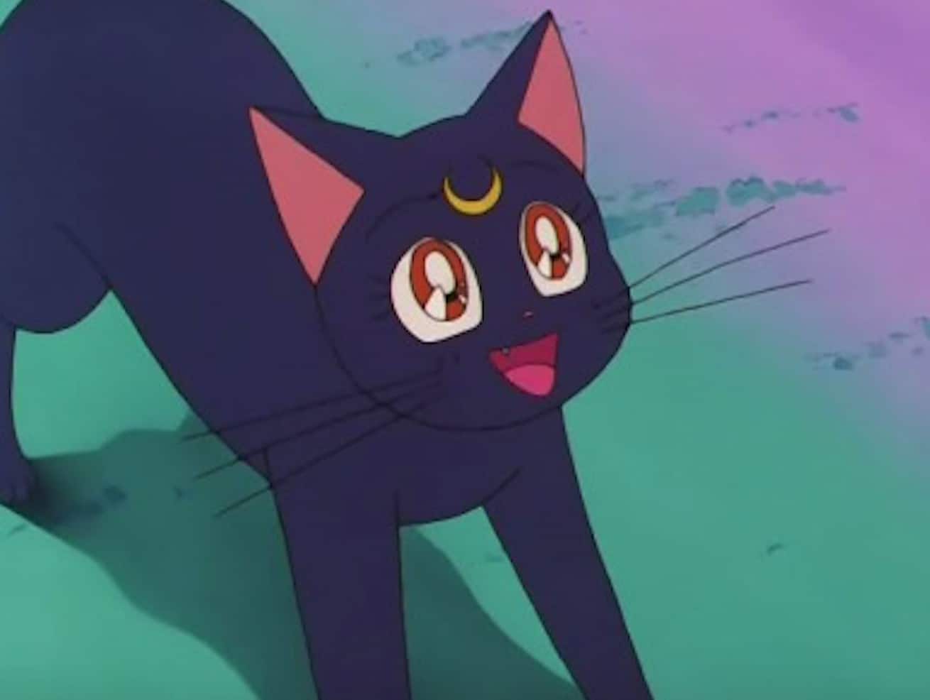 Cafe 928 in Southport - Restaurant menu and reviews